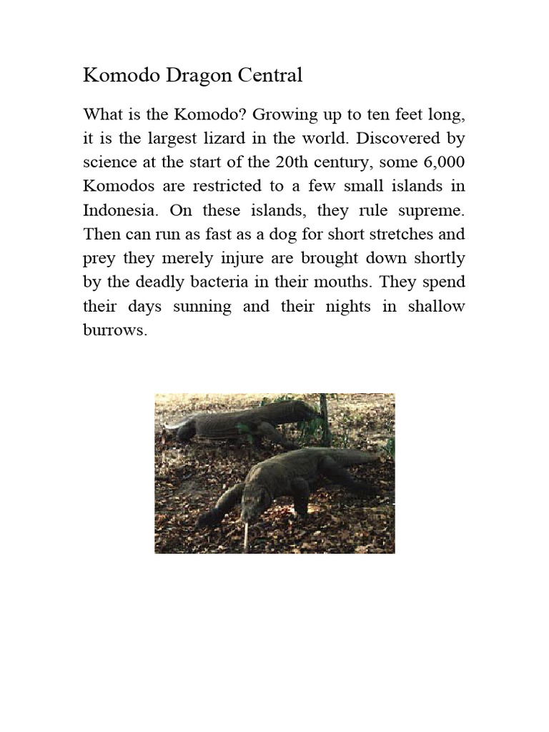 Welcome To Komodo Dragon Central | PDF | Travel