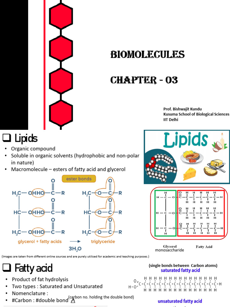 Biomolecules - Lipids | PDF | Triglyceride | Lipid