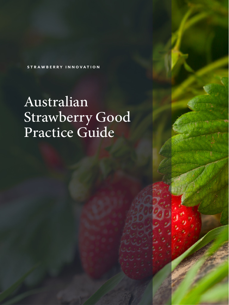 bs15002 Strawberry Good Practice Guide | PDF | Soil | Crop Rotation