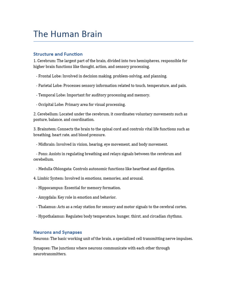 Human Brain Note Pdf