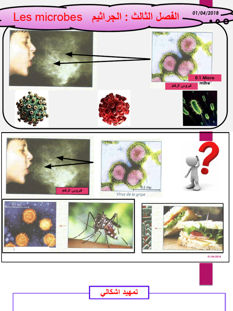 Microbes | PDF