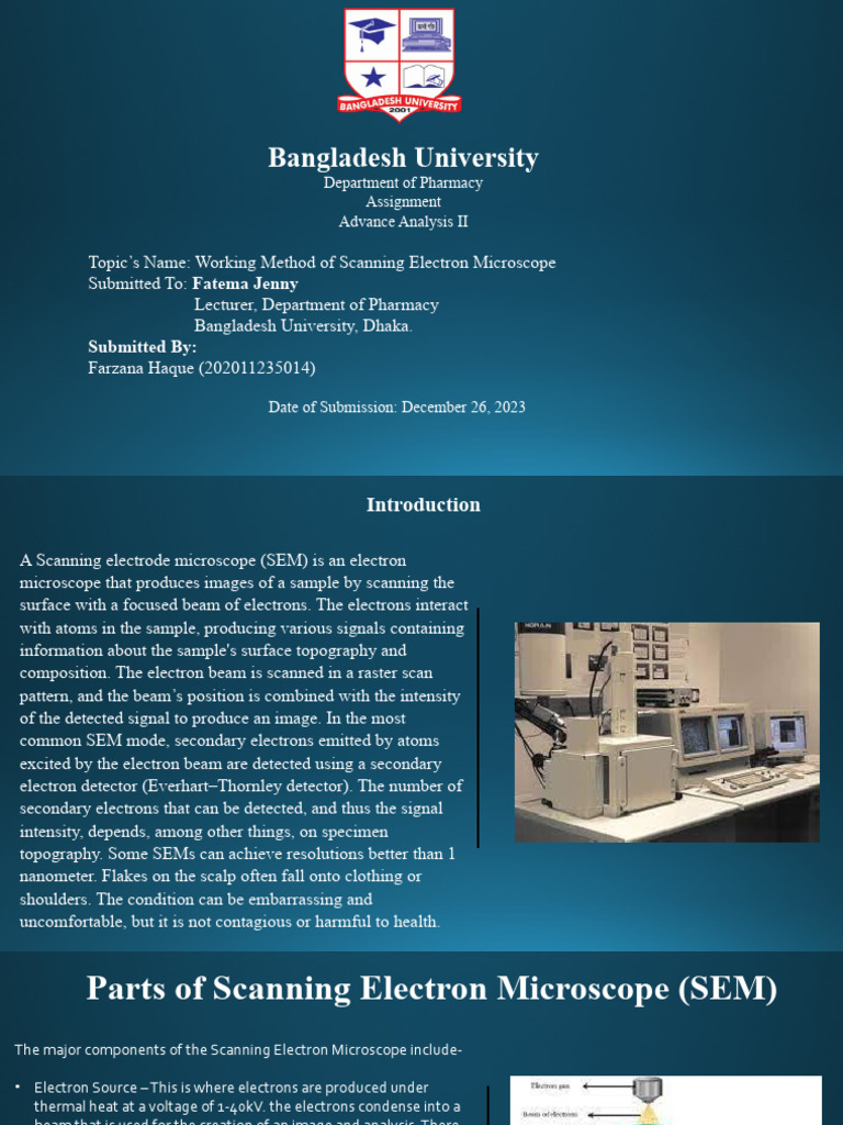 Assignment | PDF | Scanning Electron Microscope | Electron Microscope