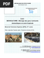 Cours sur l'Élevage Ovin et Caprin | PDF | Mouton | Chèvre