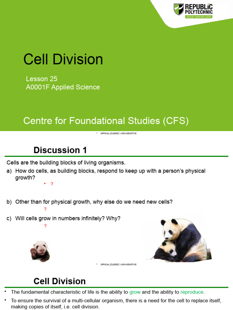 Cell Division (Lecture Notes - Student) | PDF | Meiosis | Mitosis
