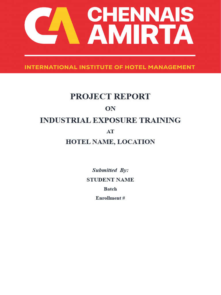 PROJECT REPORT Sample | PDF | Internship | Job Hunting