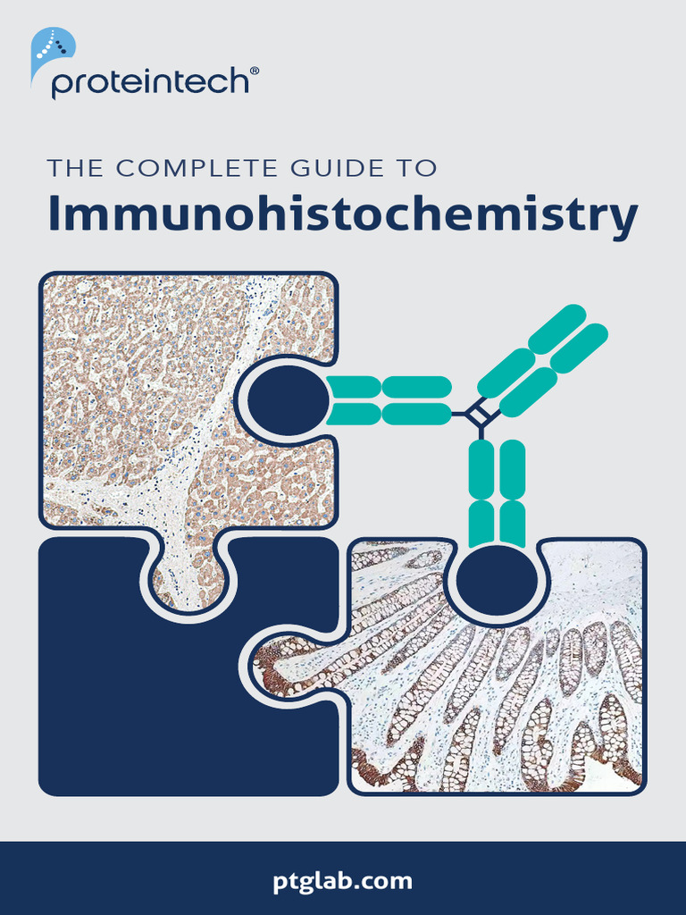 Ihc-Guide v12 | PDF | Immunohistochemistry | Scientific Techniques