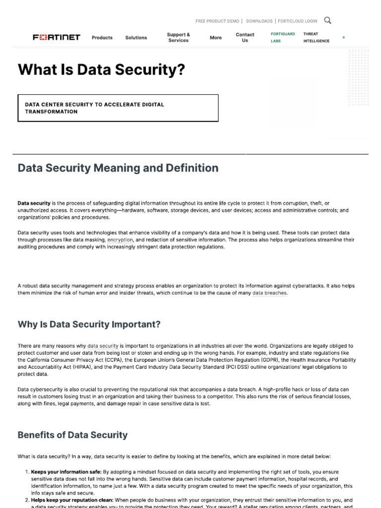 Data Security | PDF