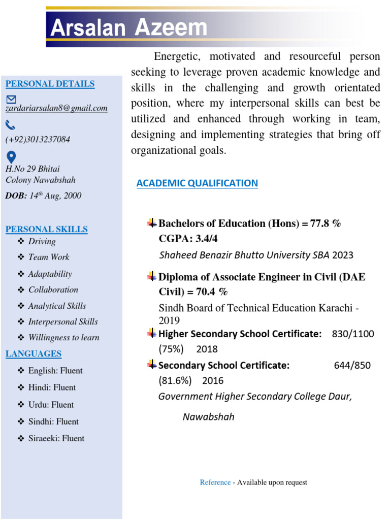 Arsalan CV | PDF