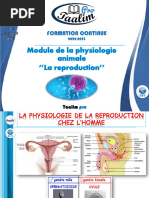 La Reproduction Chez L'homme | PDF | Cycle menstruel | Utérus
