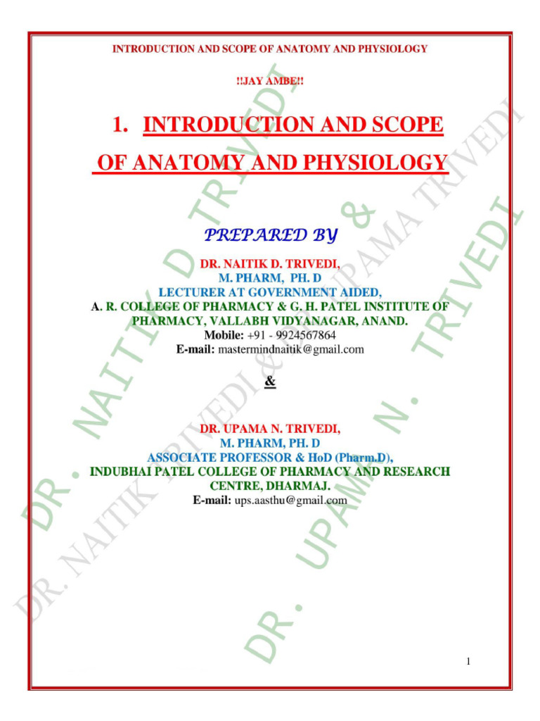 Introduction to the human body | PDF