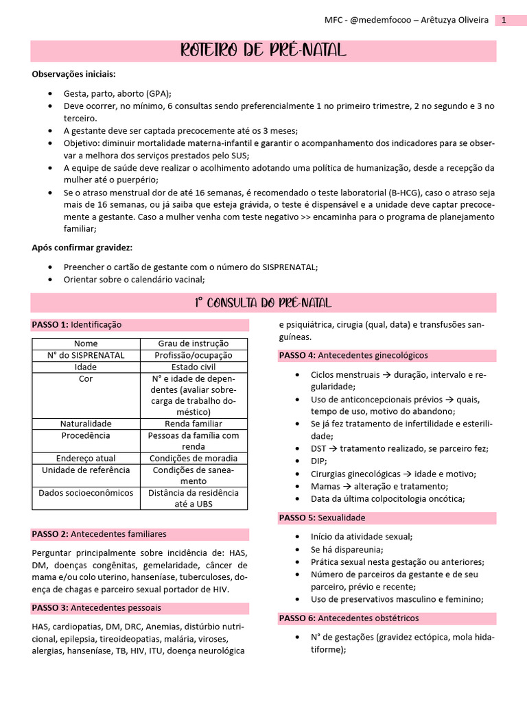 Roteiro de Pré-Natal | PDF | Gravidez | Reprodução humana