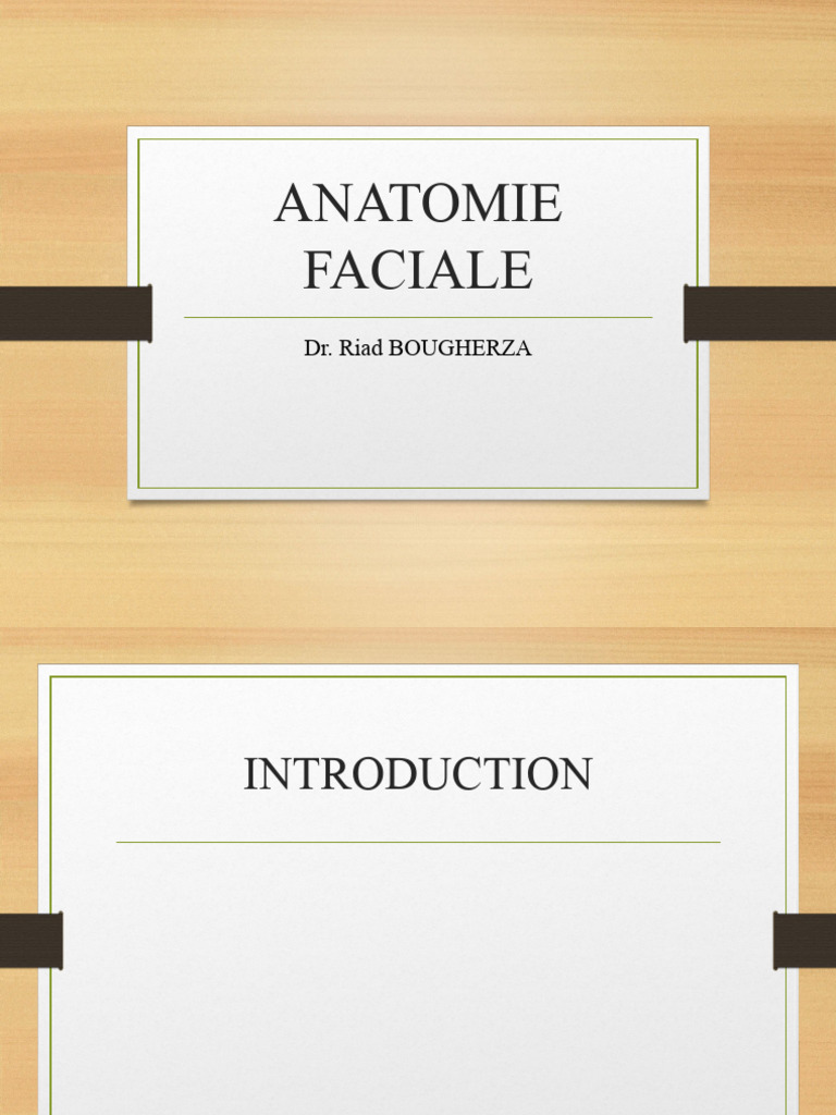 Anatomie des Muscles de la Face | PDF | Lèvre | Anatomie