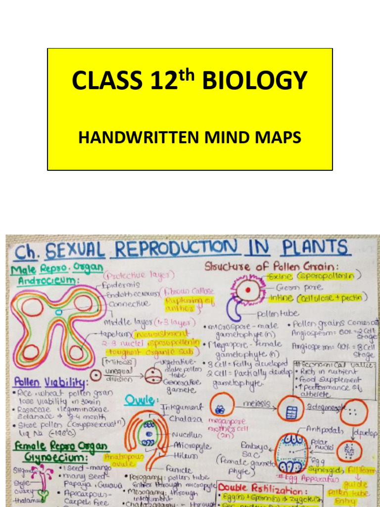 Class 12 Biology Mind Maps | PDF