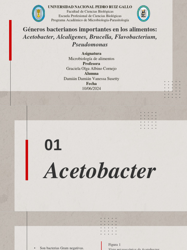 Géneros Bacterianos Importantes en Los Alimentos | Descargar gratis PDF ...