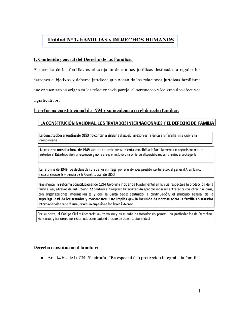 Familia Conceptos | PDF | Derechos humanos | Familia
