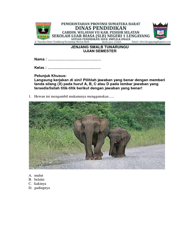 Soal Ipa Smalb Tunarungu | PDF