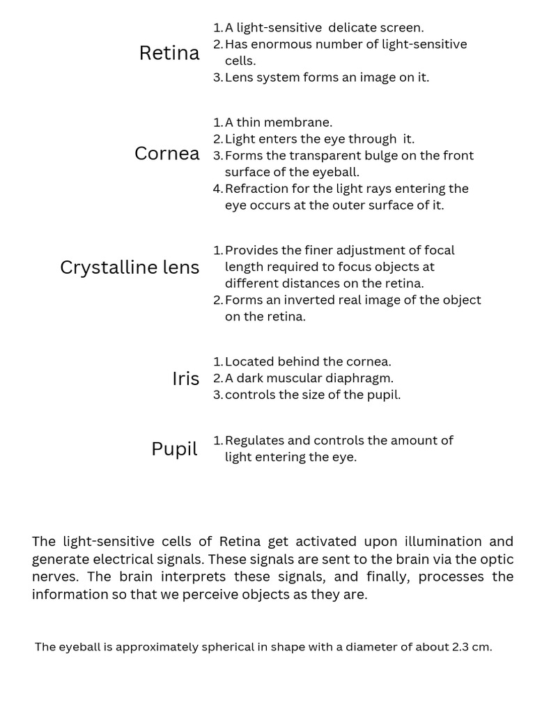 Human Eye Structure and Function | PDF | Eye | Sunset