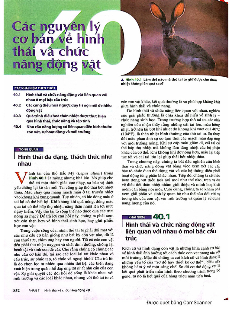 Cac Nguyen Ly Co Ban Ve Hinh Thai Va Chuc Nang Dong Vat | PDF