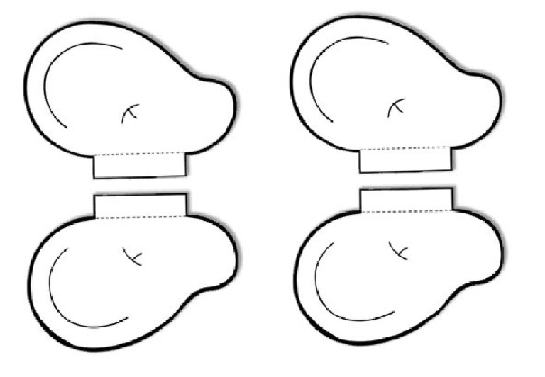 Ears | PDF