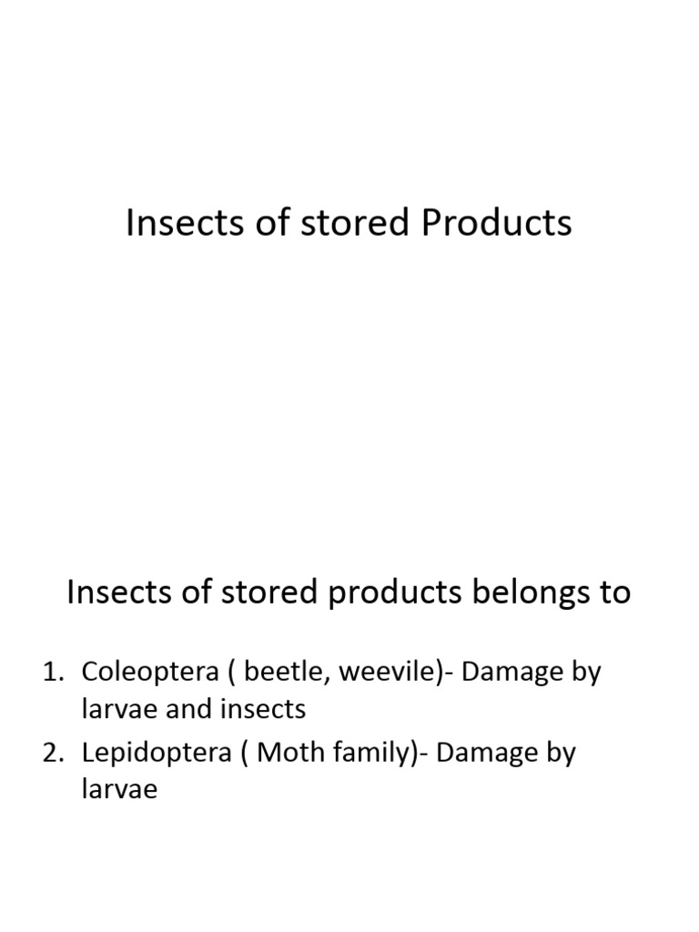 Insects of Stored Products | PDF | Beetle | Moth