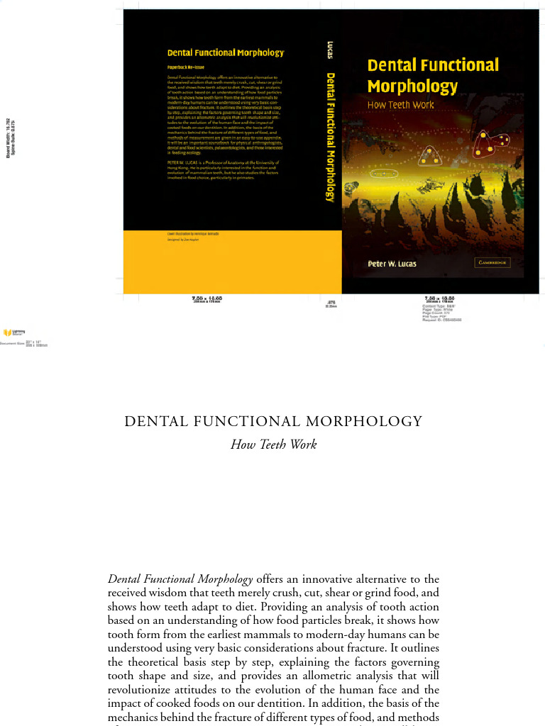 Dental Functional Morphology How Teeth Work | PDF | Tooth | Mouth