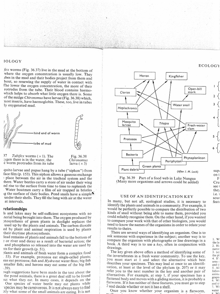 2009 Bio Mock Theory Diagrams | PDF