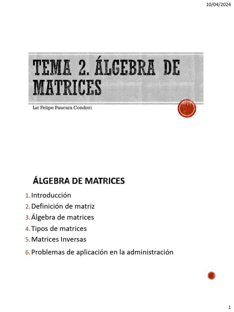 Tema 2. Matrices Segunda Parte | PDF
