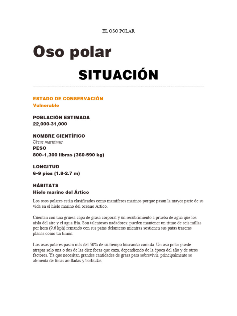 Oso Polar: Estado, Amenazas y Conservación | PDF | Oso polar | Osos