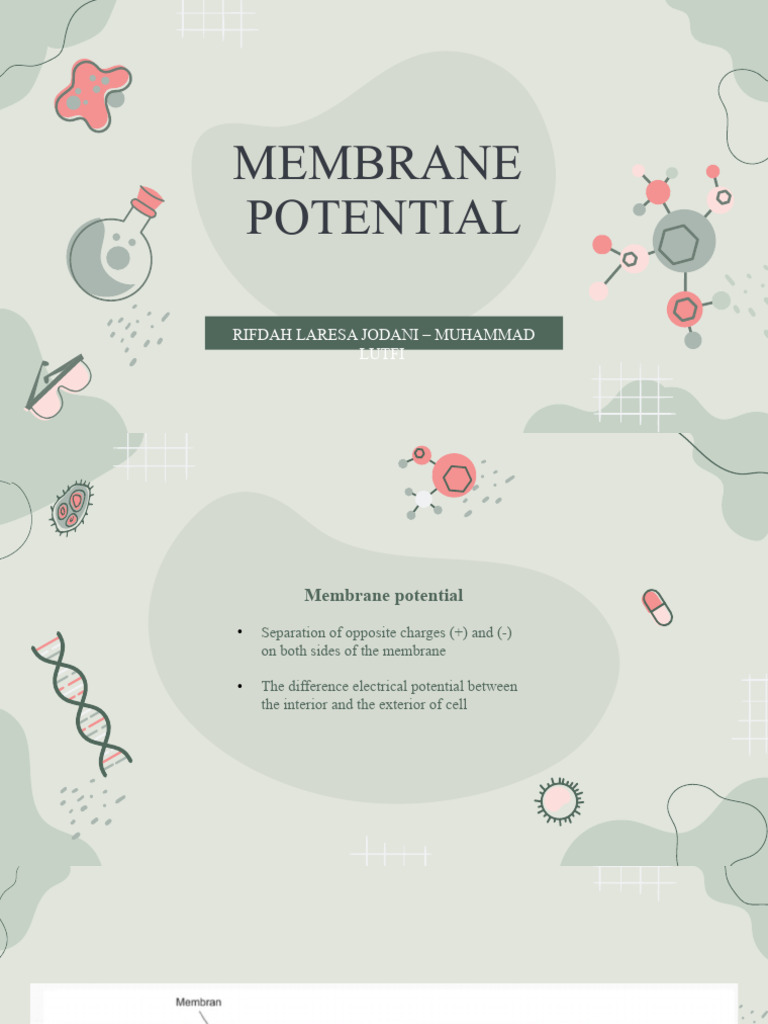 Membrane Potential | PDF