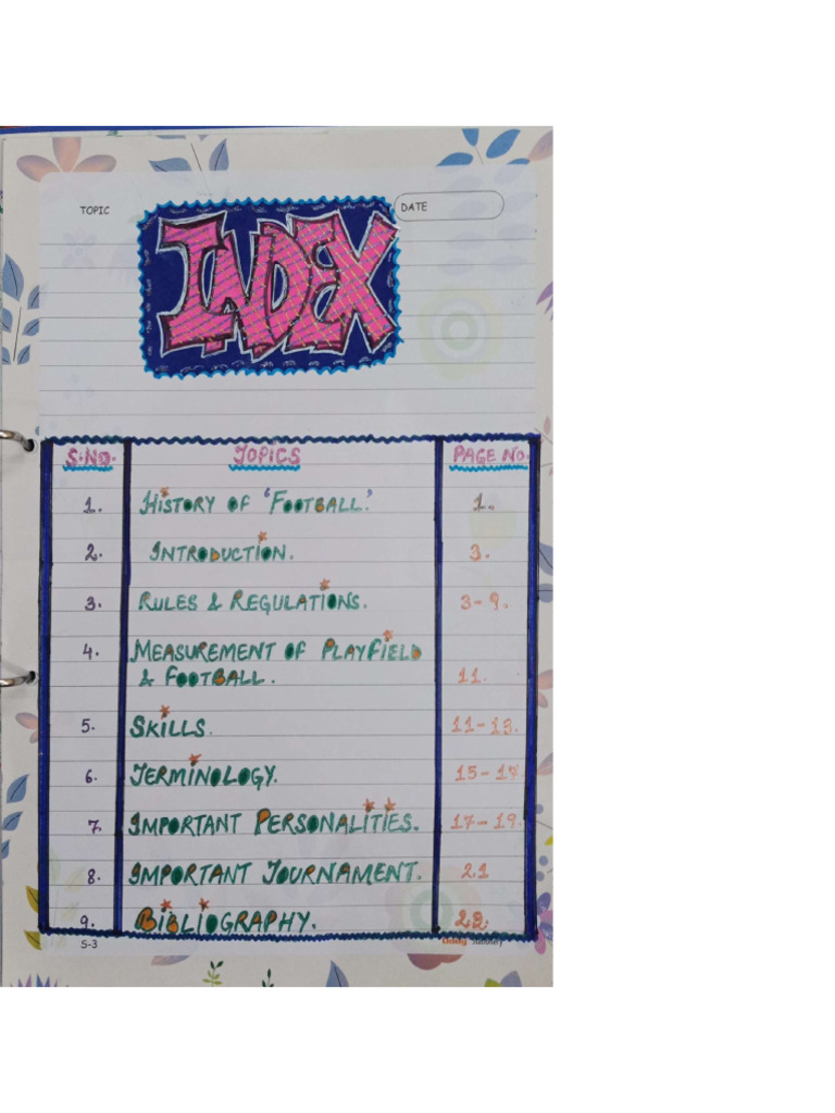 phe project sample (2024-25) | PDF