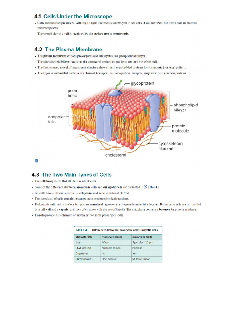 Summary Topic 4 Biol 200 | PDF