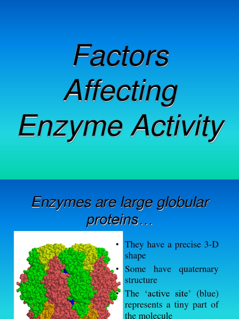Factors Affecting Enzyme Activity | PDF | Active Site | Enzyme Inhibitor