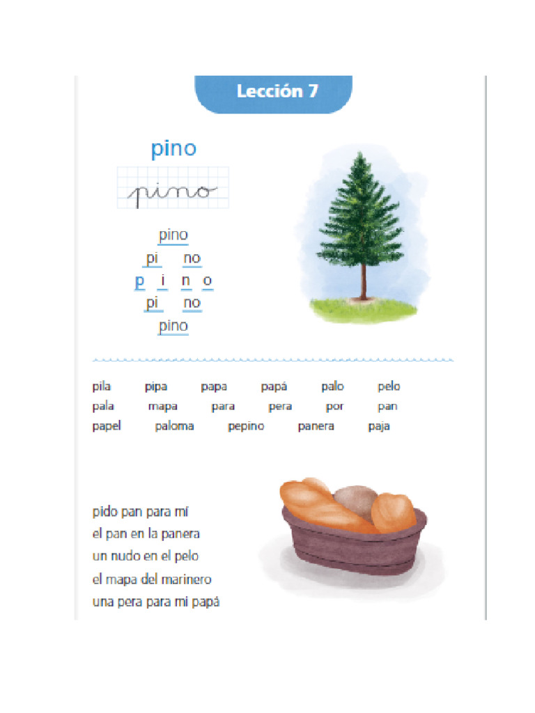 Pino | PDF