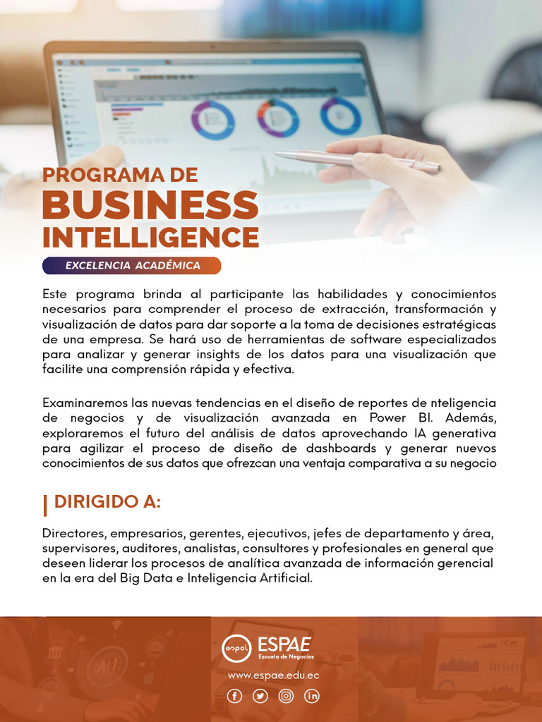 Brochure Programa Business Intelligence | PDF
