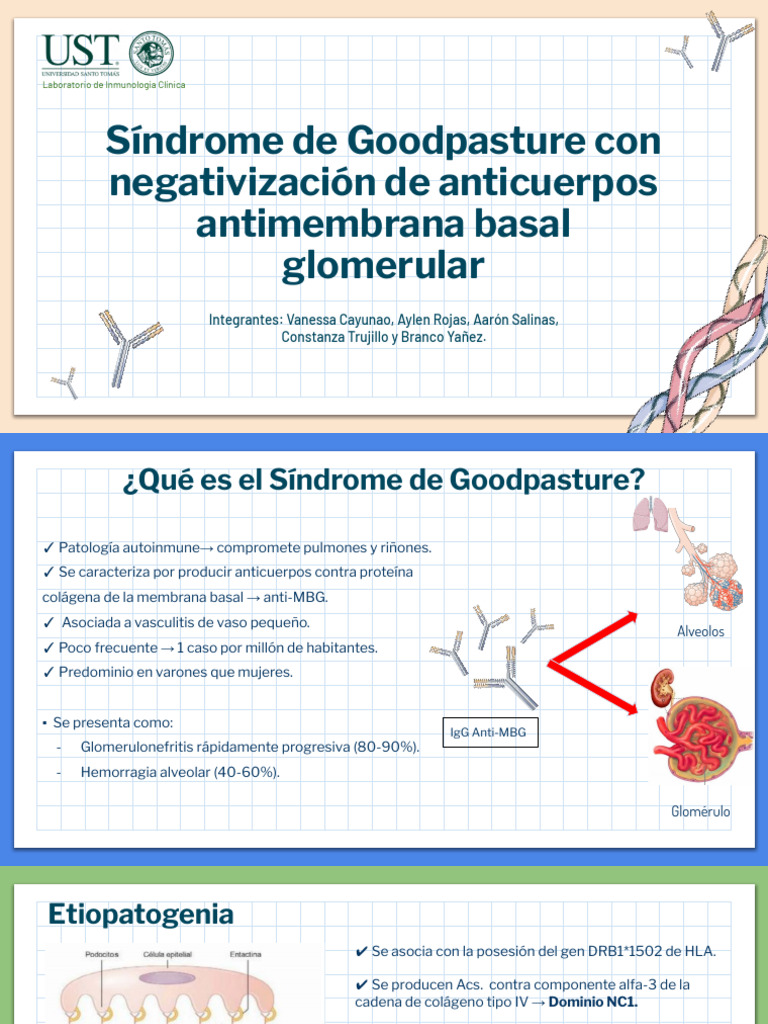 Síndrome de Goodpasture | PDF | Riñón | Medicina
