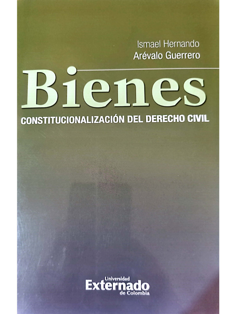 Bienes | PDF