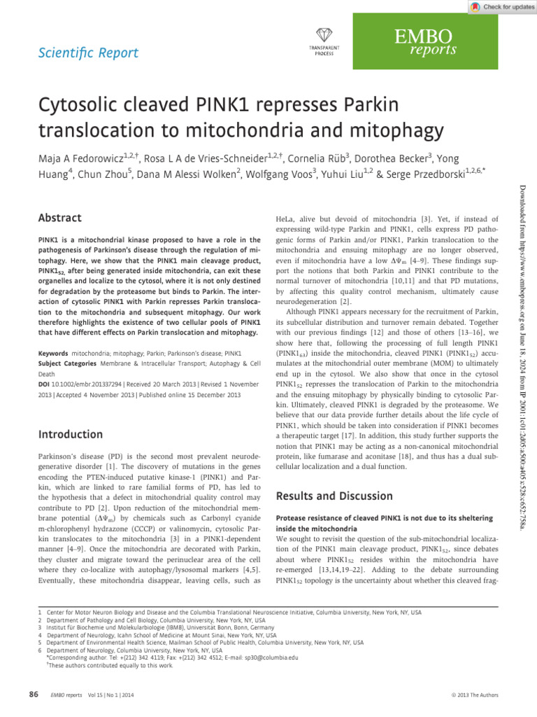 Fedorowicz Et Al 2013 Cytosolic Cleaved Pink1 Represses Parkin ...