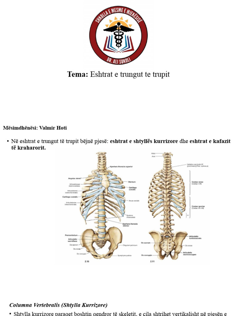 7. Eshtrat e Trungut Te Trupit | PDF