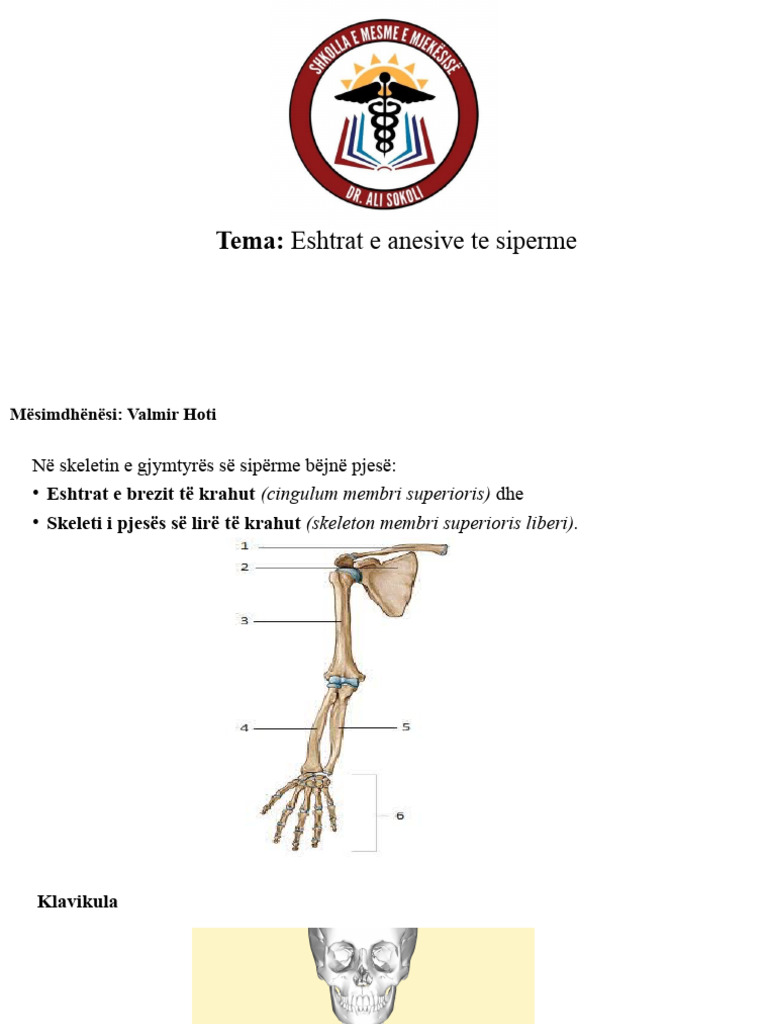 Eshtrat e Anesive Te Siperme | PDF