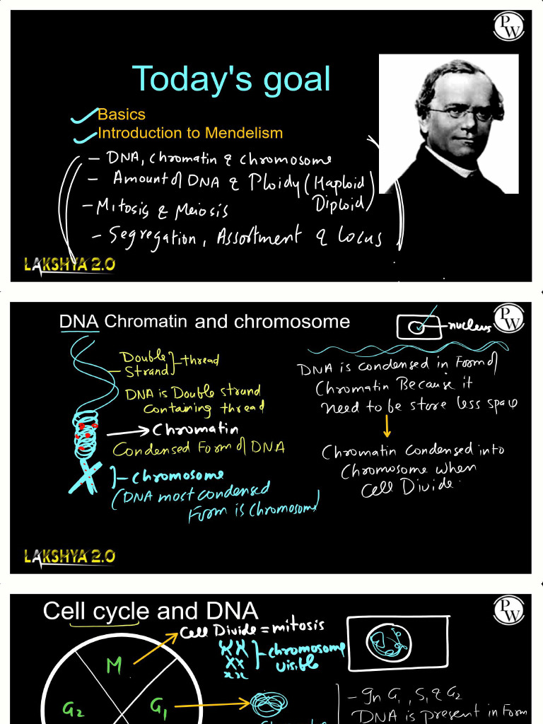 Chap 5 Basics 2 in One Page | PDF