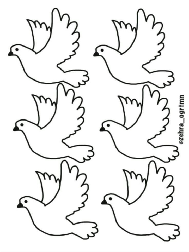 Palomas Moldes | PDF