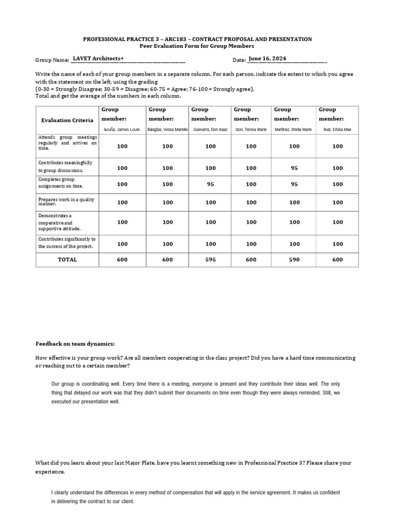 PP3 - Peer Evaluation Form | PDF | Human Communication | Cognition
