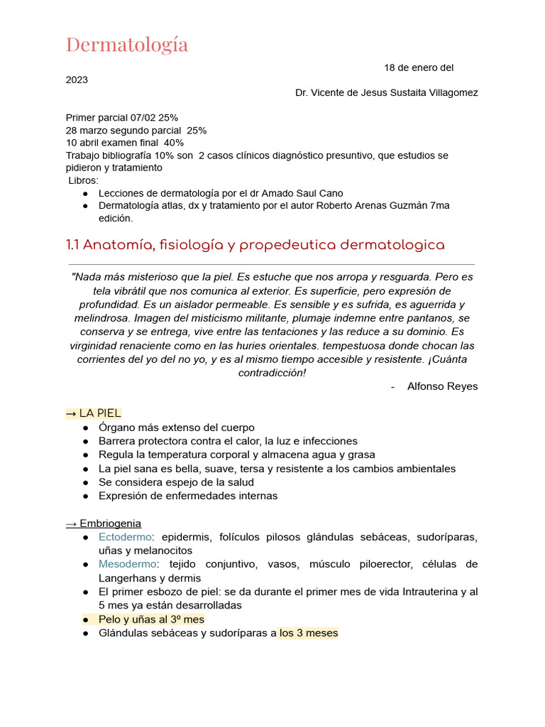 Dermatología 1P | PDF | Piel | Medicina CLINICA