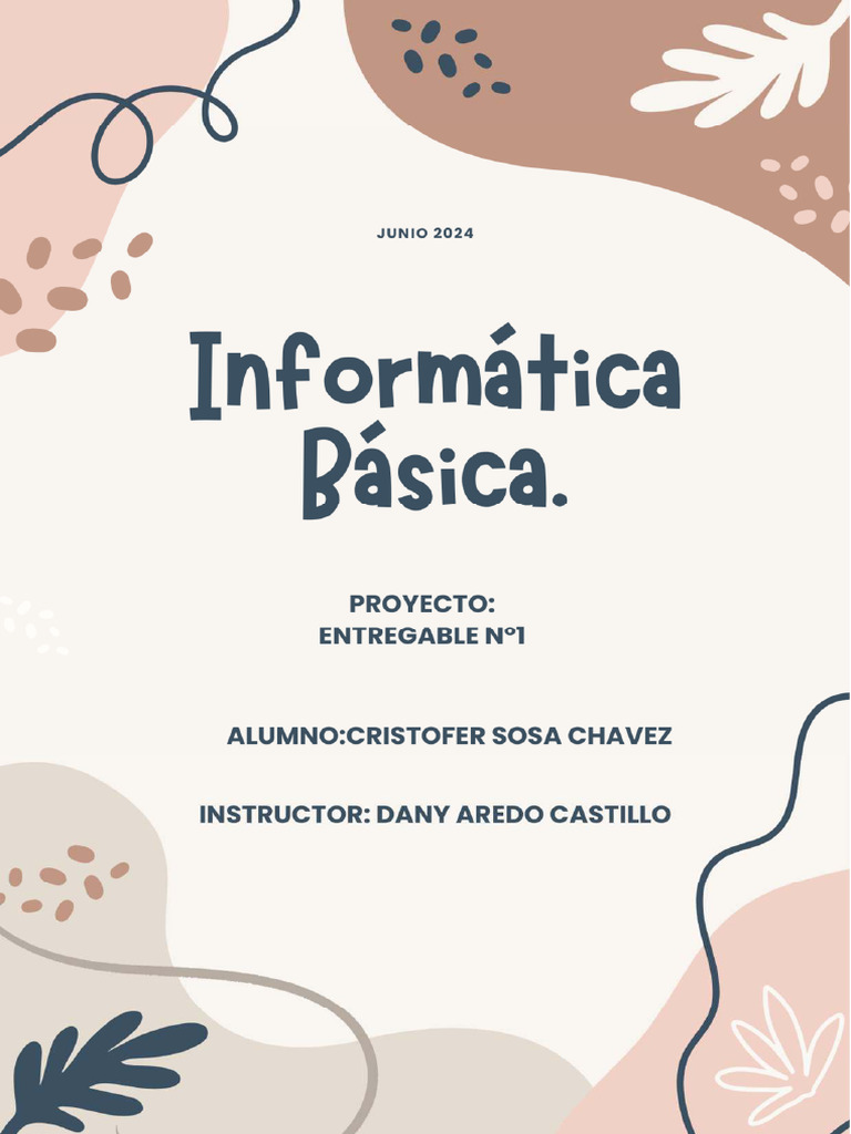 Informatica Entregable N°1 | PDF