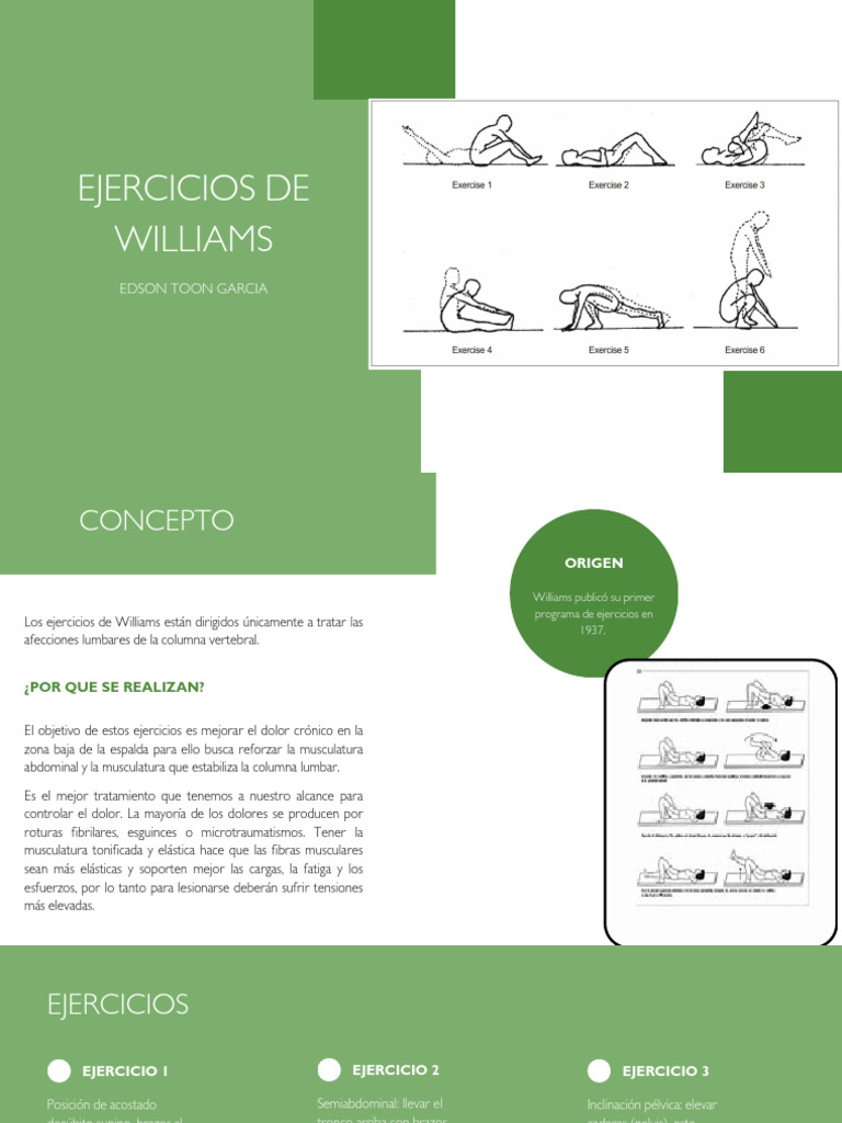 Ejercicios de Williams - Edson | PDF | La columna vertebral | Músculo