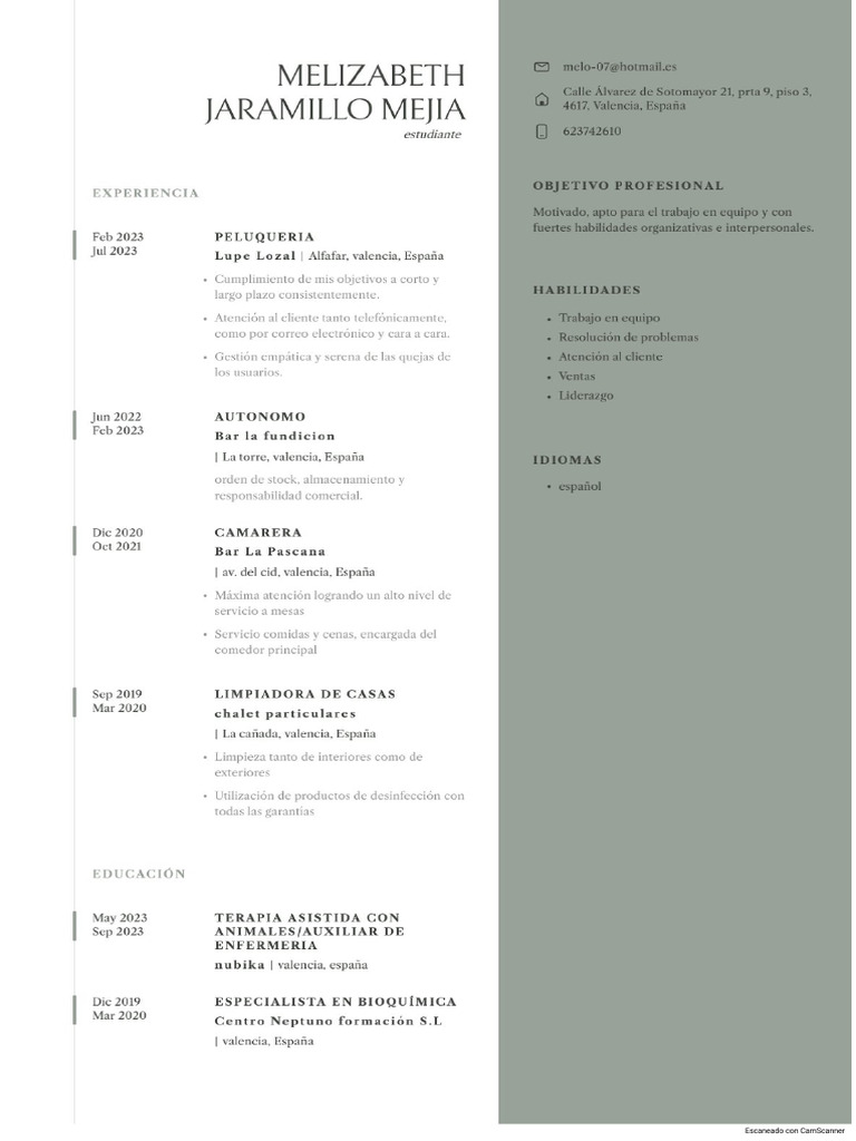 Curriculum Vitae Melissa | PDF