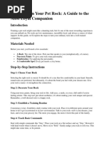 Pet Rock Manual Original | PDF | Pet
