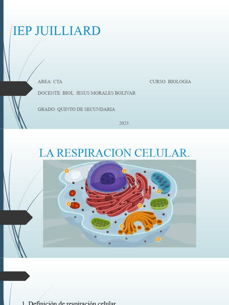 Biologia 5to Respiracion Celular | PDF | Dieta y nutrición | Química