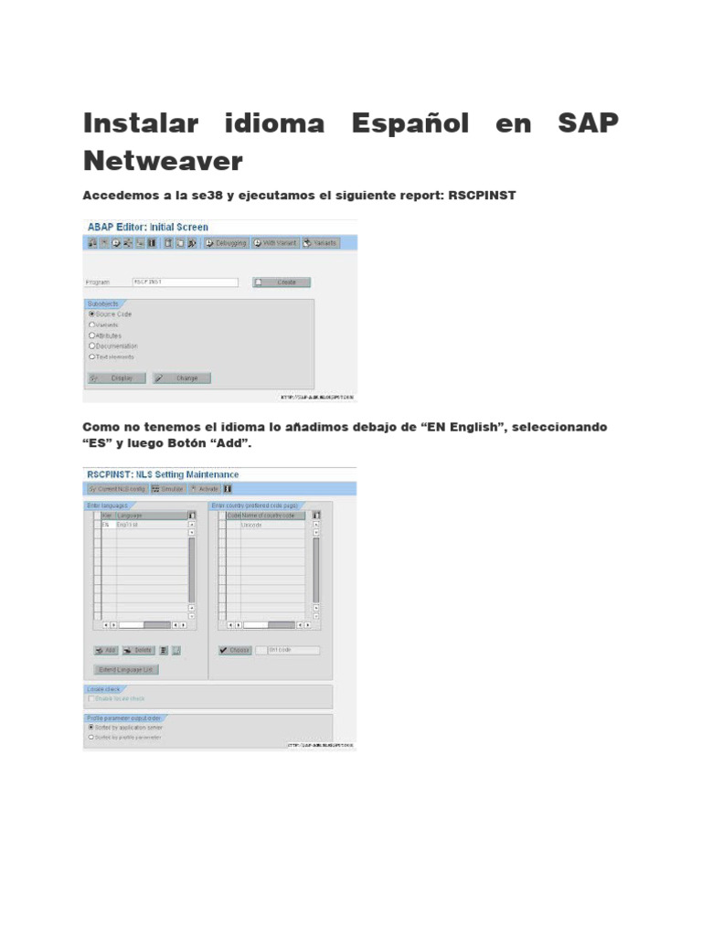 Instalar Idioma Español en SAP Netweaver | PDF | Informática
