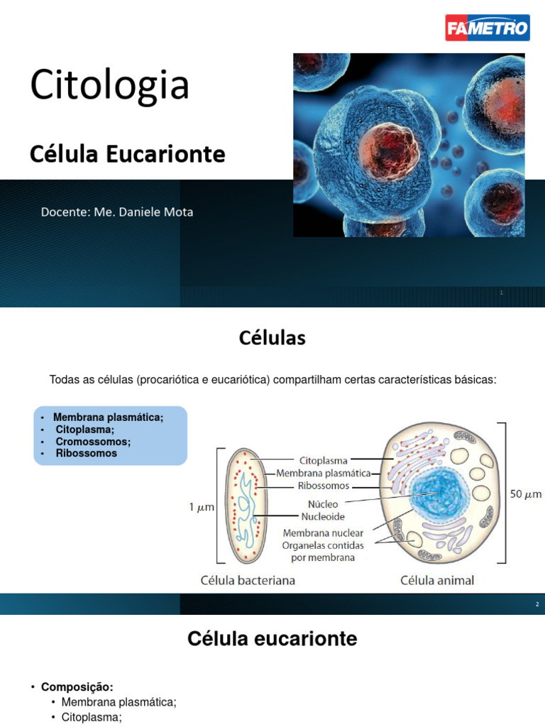 Aula 2 Organelas - Citologia | PDF | Célula (Biologia) | Retículo ...